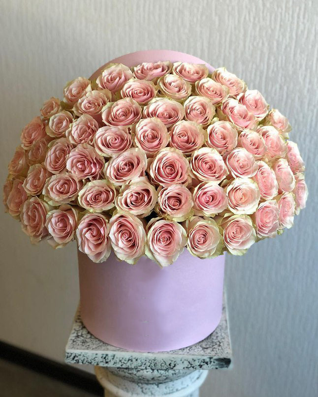 75 light pink roses design in a box — Luxury Flowers Miami