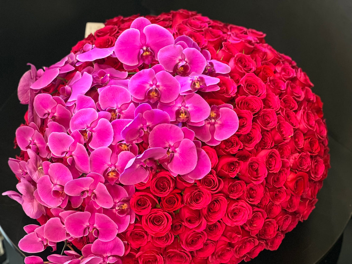 300 Hot Pink Roses and Orchids — Luxury Flowers Miami